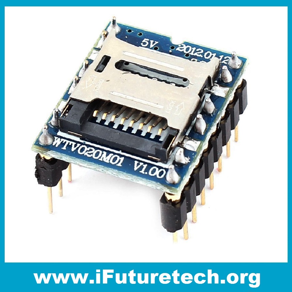Buy Wtv020 Sd 16p U Disk Audio Player Sd Card Mp3 Voice Module Ifuture Technology