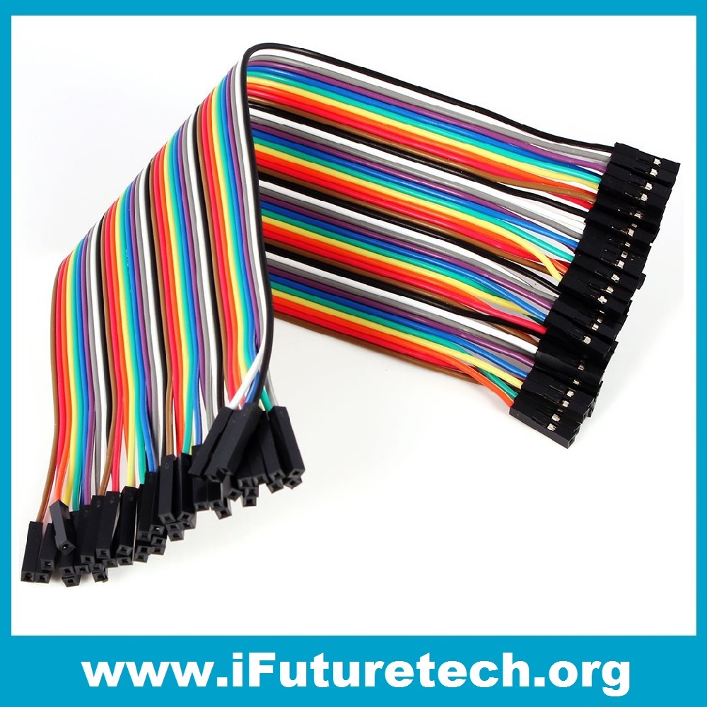 20CM JUMPER WIRE FEMALE TO FEMALE | | iFuture Technology