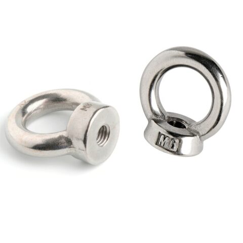Buy M3 RING SHAPE LIFTING EYE NUT | iFuture Technology